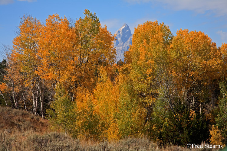 GRAND TETON NATIONAL PARK, FALL COLOR - STEARNS PHOTOGRAPHY ...